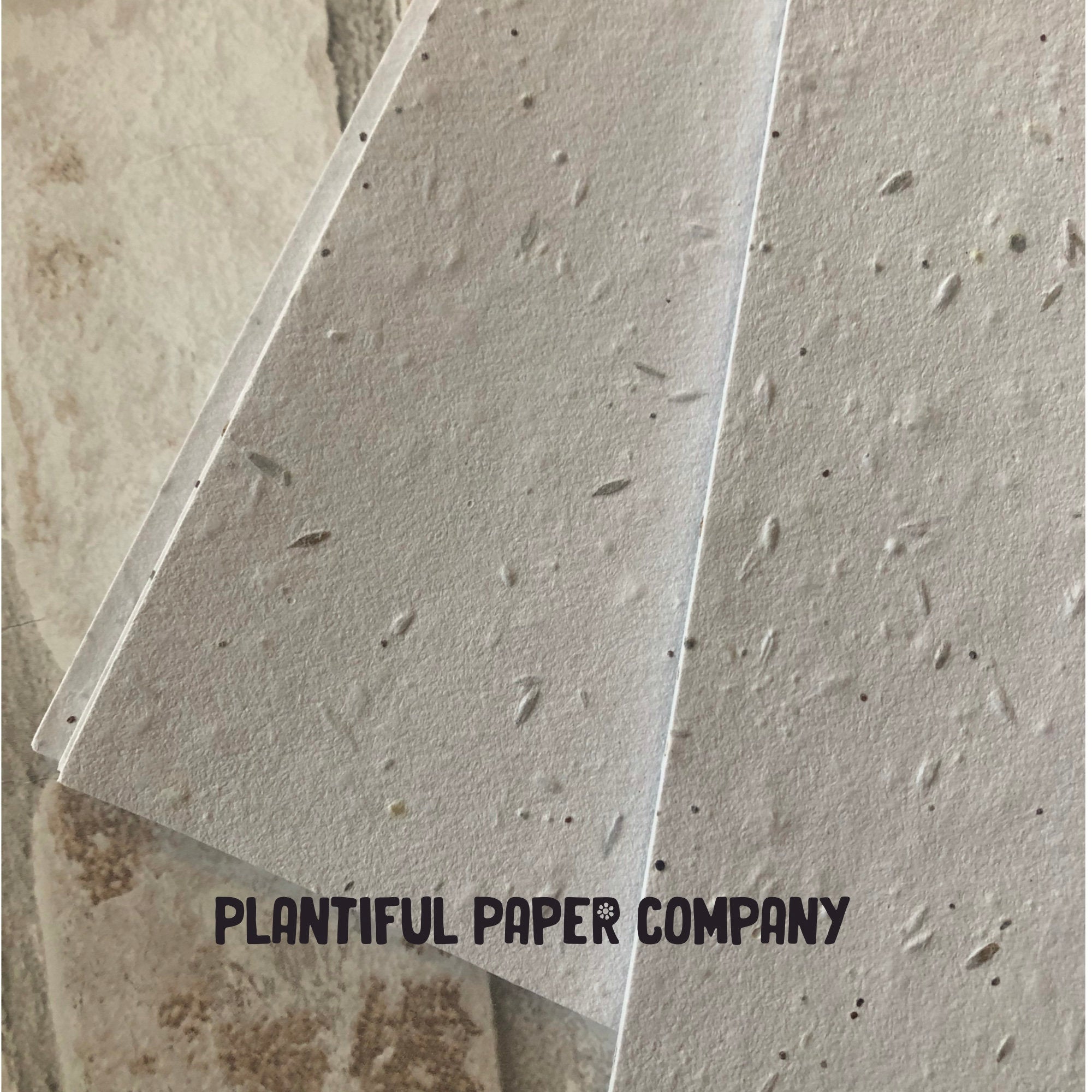 A4 280gsm Plantable Seed Paper - Embedded with Wildflower Seed Mix - 5 ...